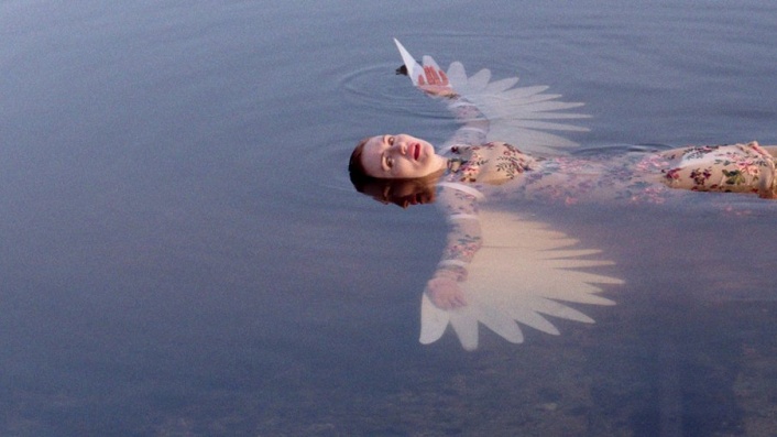 Die Seemeeu | Where to watch streaming and online in New Zealand | Flicks