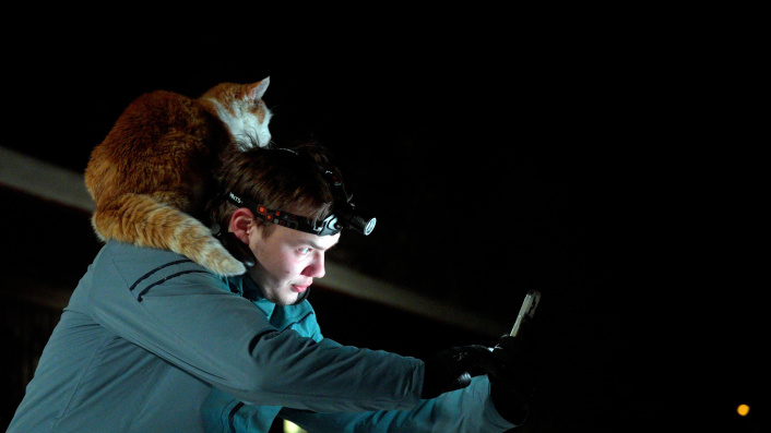 Folktales | Movie showtimes & tickets in UK cinemas | Flicks