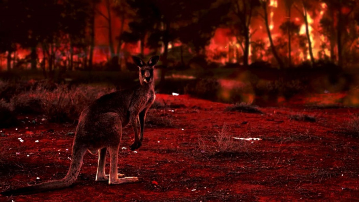 My Extinction | Where to watch streaming and online in Australia | Flicks