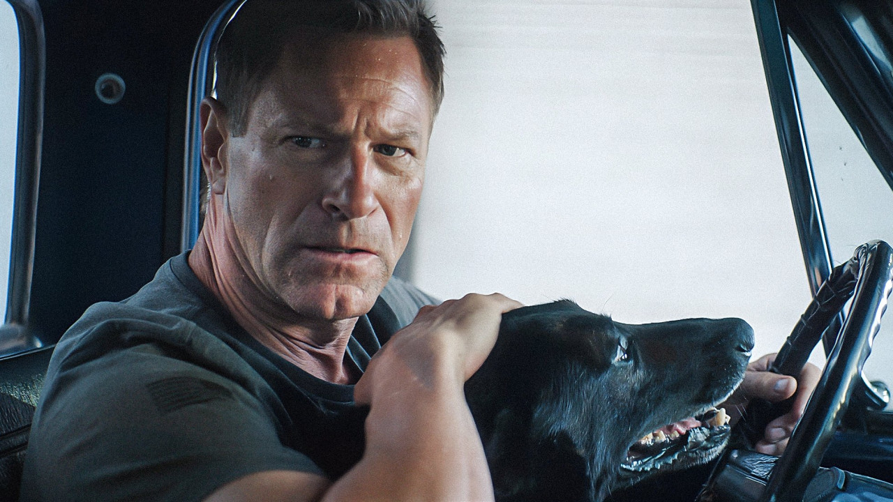Muzzle: City of Wolves | Where to watch streaming and online in New ...