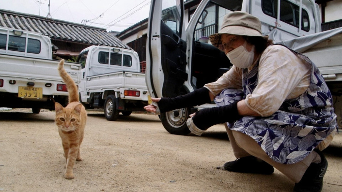 The Cats of Gokogu Shrine | Where to watch streaming and online in New Zealand | Flicks