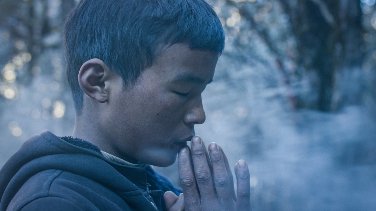 The Wall of Shadows | Where to watch streaming and online in New ...