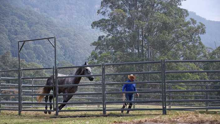 The Healing | Where to watch streaming and online in Australia | Flicks