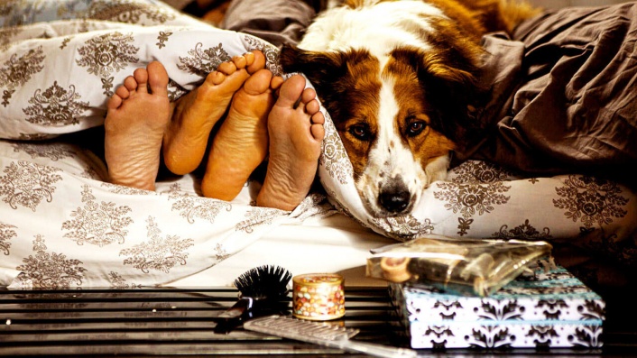 The Dognapper | Where to watch streaming and online in New Zealand | Flicks
