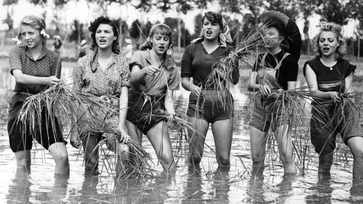 Bitter Rice | Where to watch streaming and online in New Zealand | Flicks