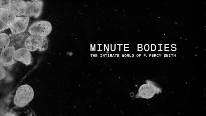 Minute Bodies: The Intimate World of F. Percy Smith | Where to watch ...