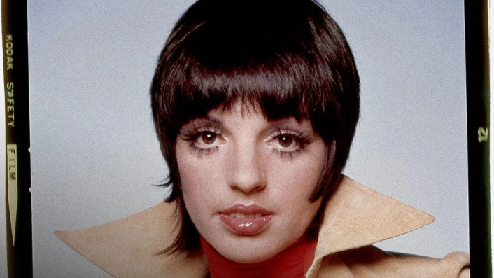 Liza: A Truly Terrific Absolutely True Story | Where to watch streaming ...