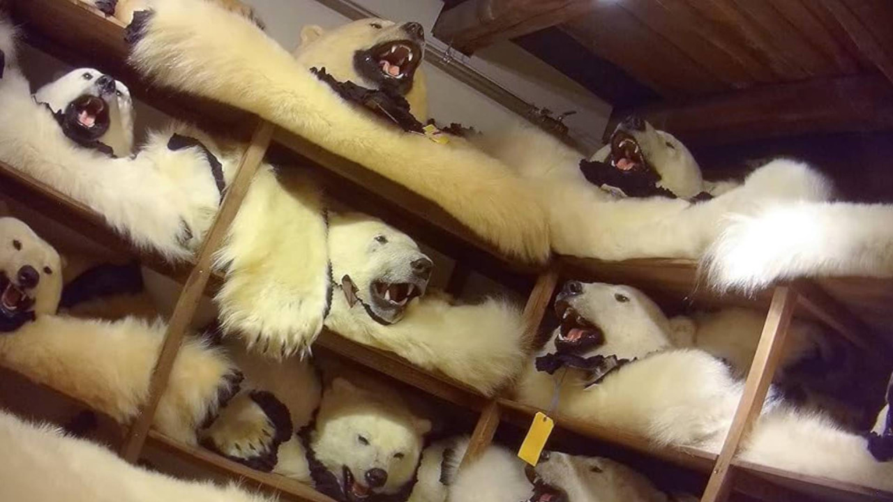 Trade Secret | Movie showtimes & tickets in UK cinemas | Flicks