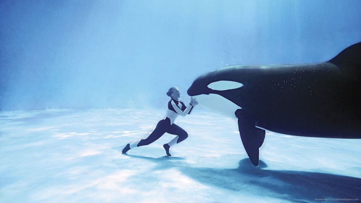 Blackfish | Where to watch streaming and online in Australia | Flicks