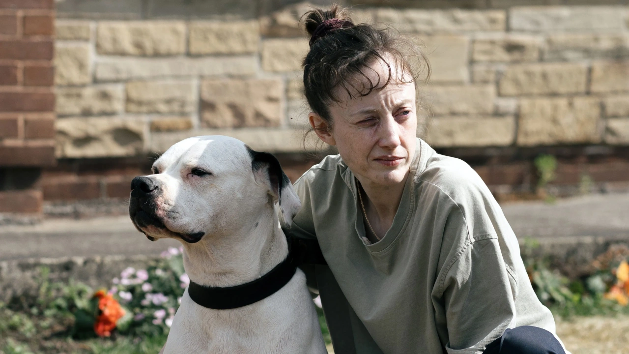 Dragonfly | Movie showtimes & tickets in UK cinemas | Flicks