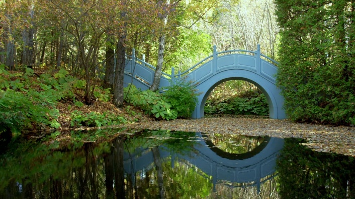 Coming Soon to State Cinemas Nelson