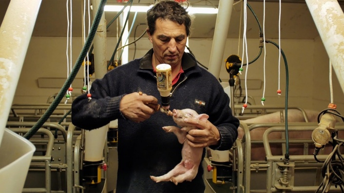 Meat | Where to watch streaming and online in Australia | Flicks