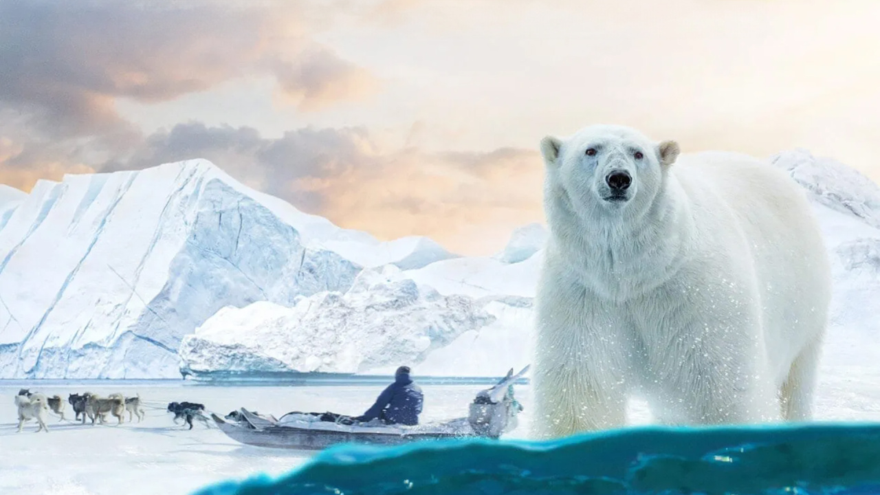 Arctic: Our Frozen Planet | Where to watch streaming and online in New ...