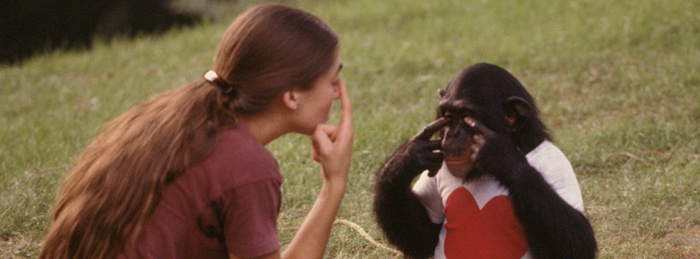 Project Nim | Where to watch streaming and online | Flicks.co.nz