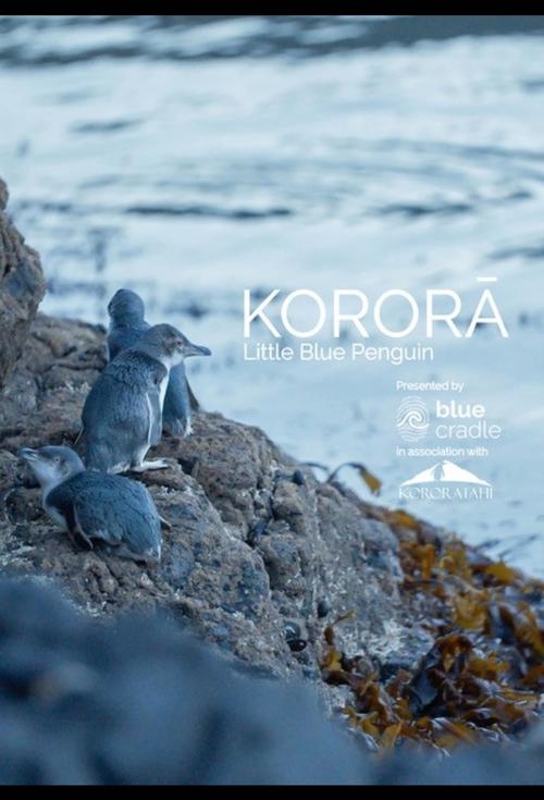 Kororā | Where to watch streaming and online in New Zealand | Flicks