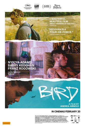 Bird (2024) | Where to watch streaming and online in Australia | Flicks