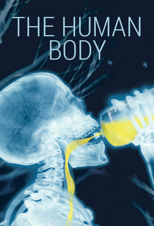 The Human Body | Where to watch streaming and online in New Zealand ...
