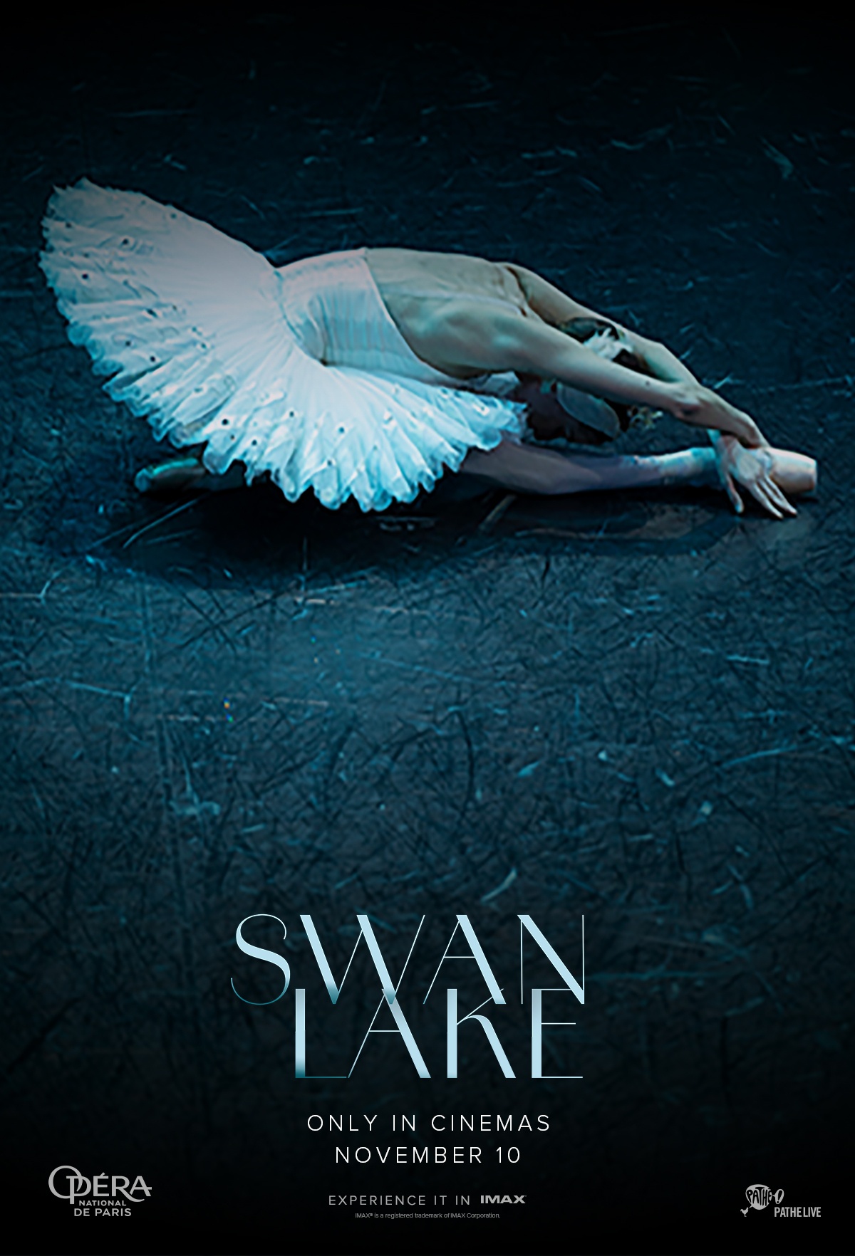 Opéra de Paris: Swan Lake | Where to watch streaming and online in ...