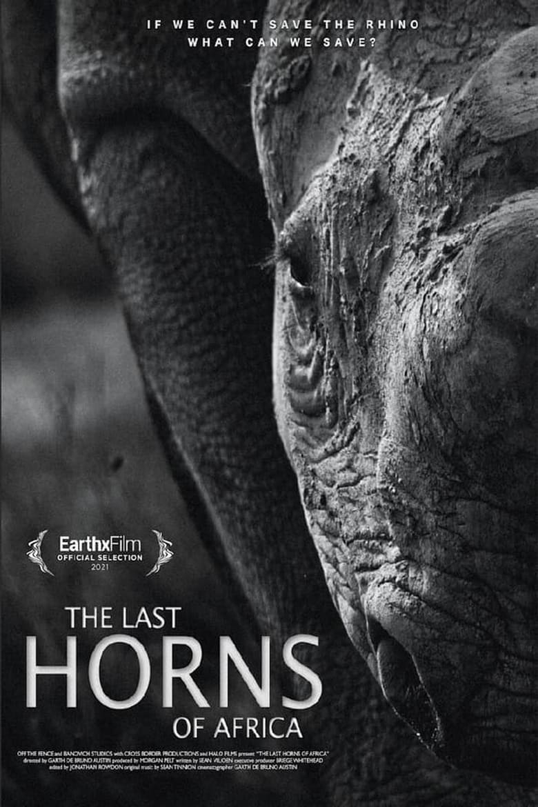 Horns Movie Poster