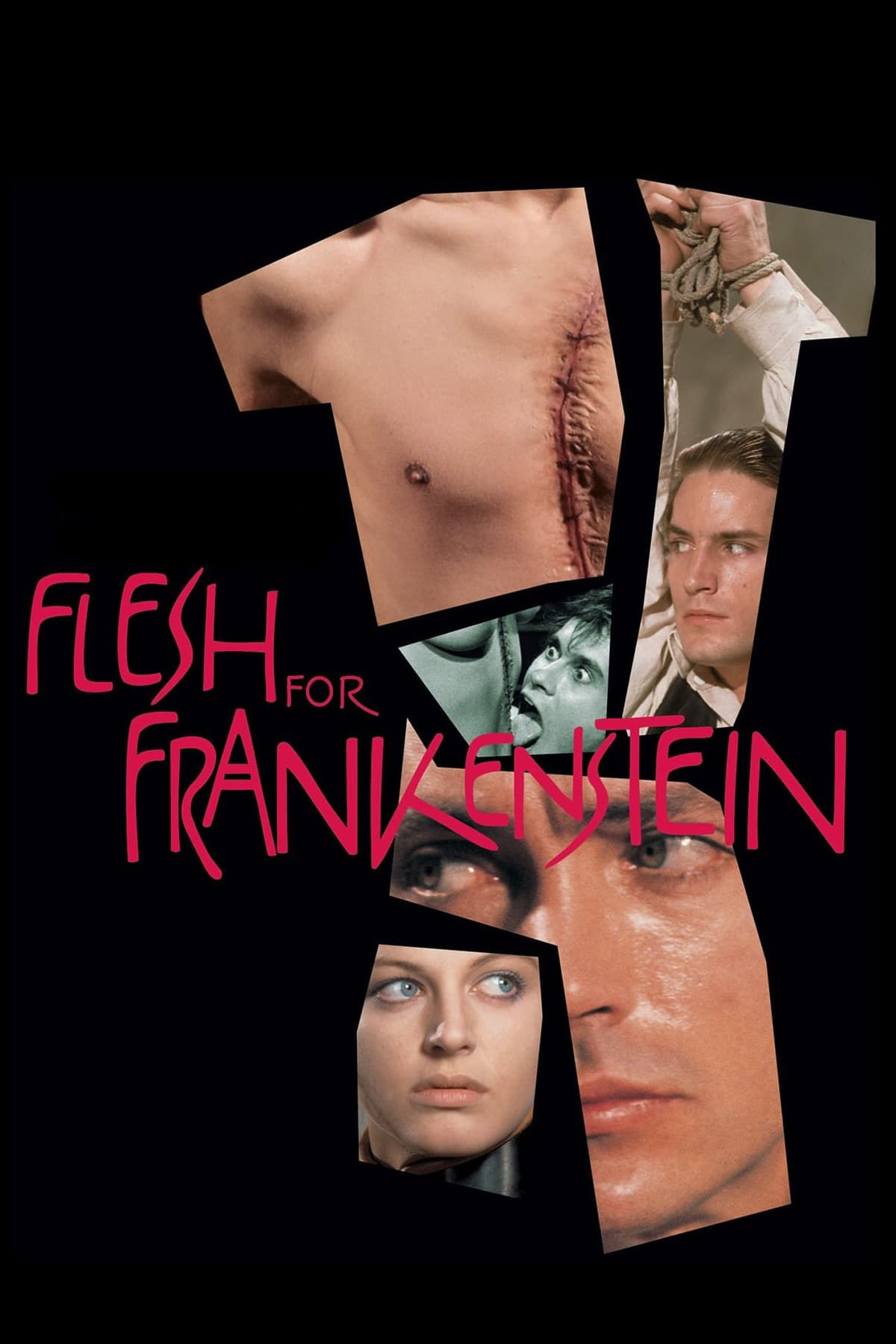 Flesh for Frankenstein | Where to watch streaming and online in New ...