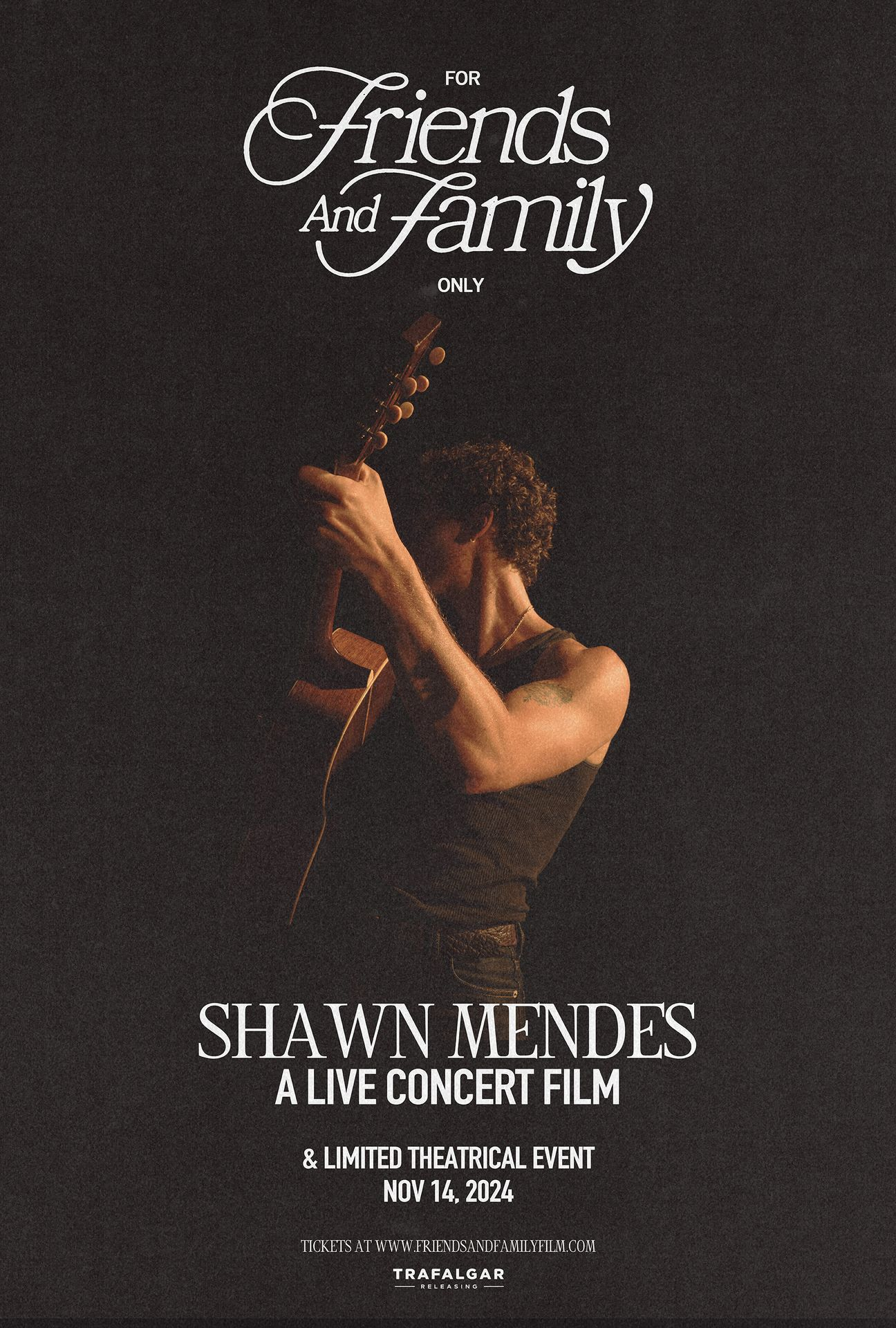 Shawn Mendes: For Friends & Family Only | Where to watch streaming and ...