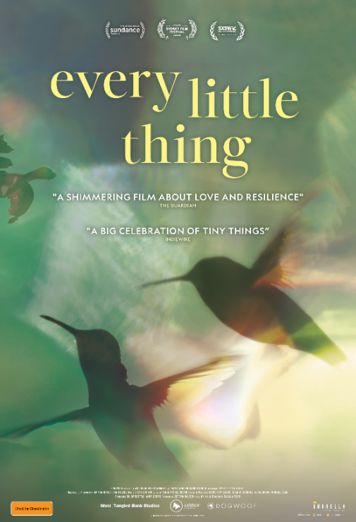 Every Little Thing | Where to watch streaming and online in New Zealand ...