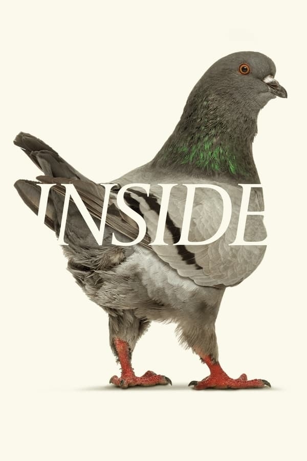 Inside (2023) | Where to watch streaming and online in the UK | Flicks