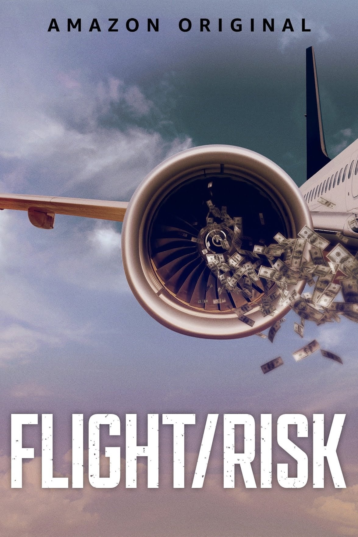 Flight/Risk | Where to watch streaming and online in Australia | Flicks