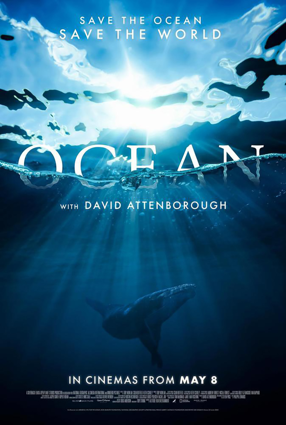 Ocean with David Attenborough | Where to watch streaming and online in New Zealand | Flicks