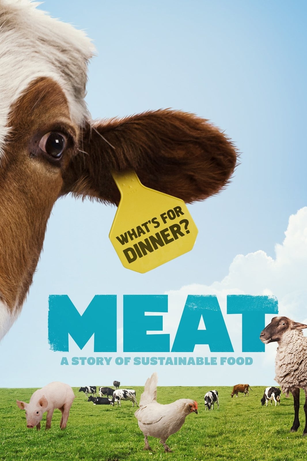 Meat | Where to watch streaming and online | Flicks.co.nz