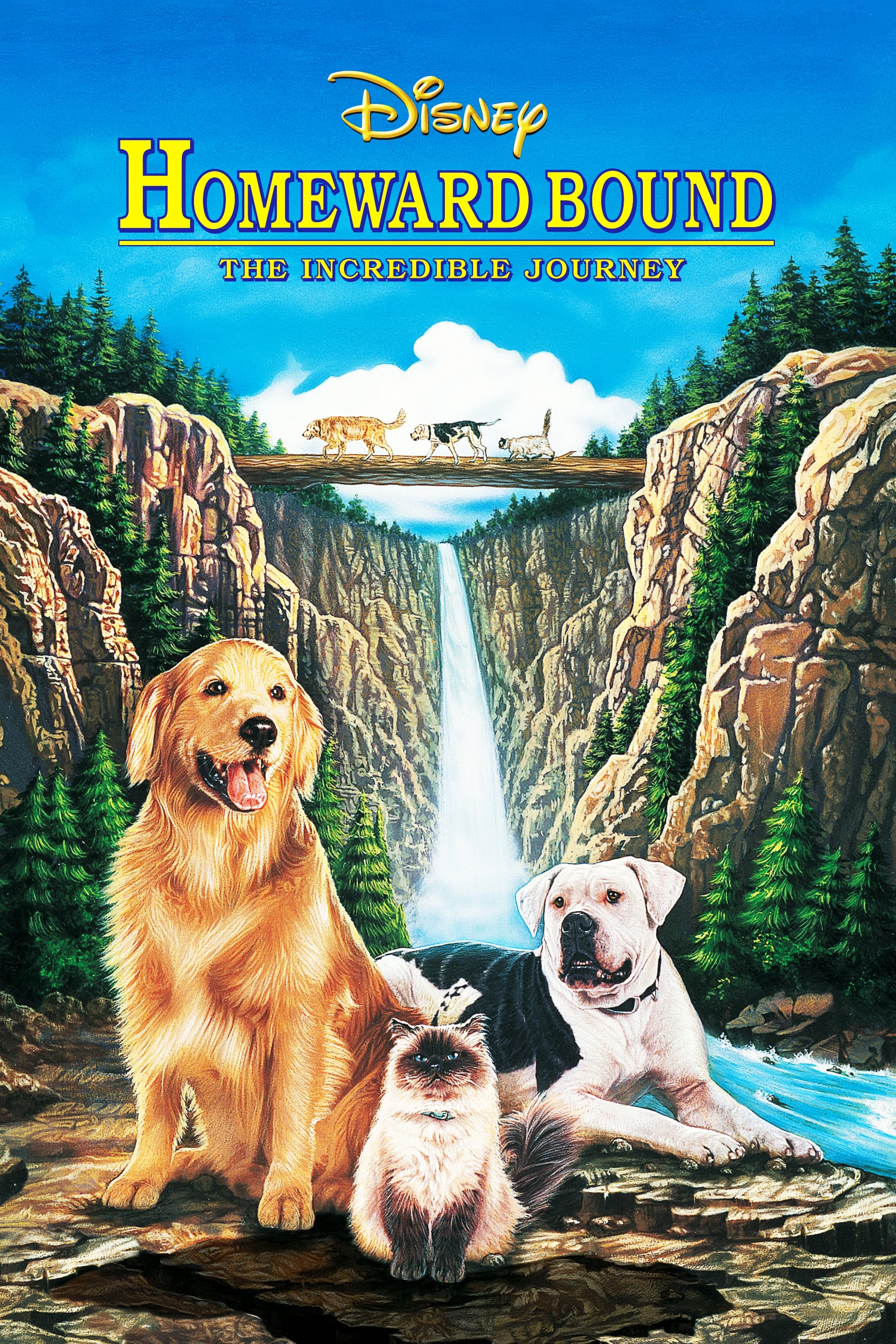 Homeward Bound: The Incredible Journey | Where to watch streaming and ...
