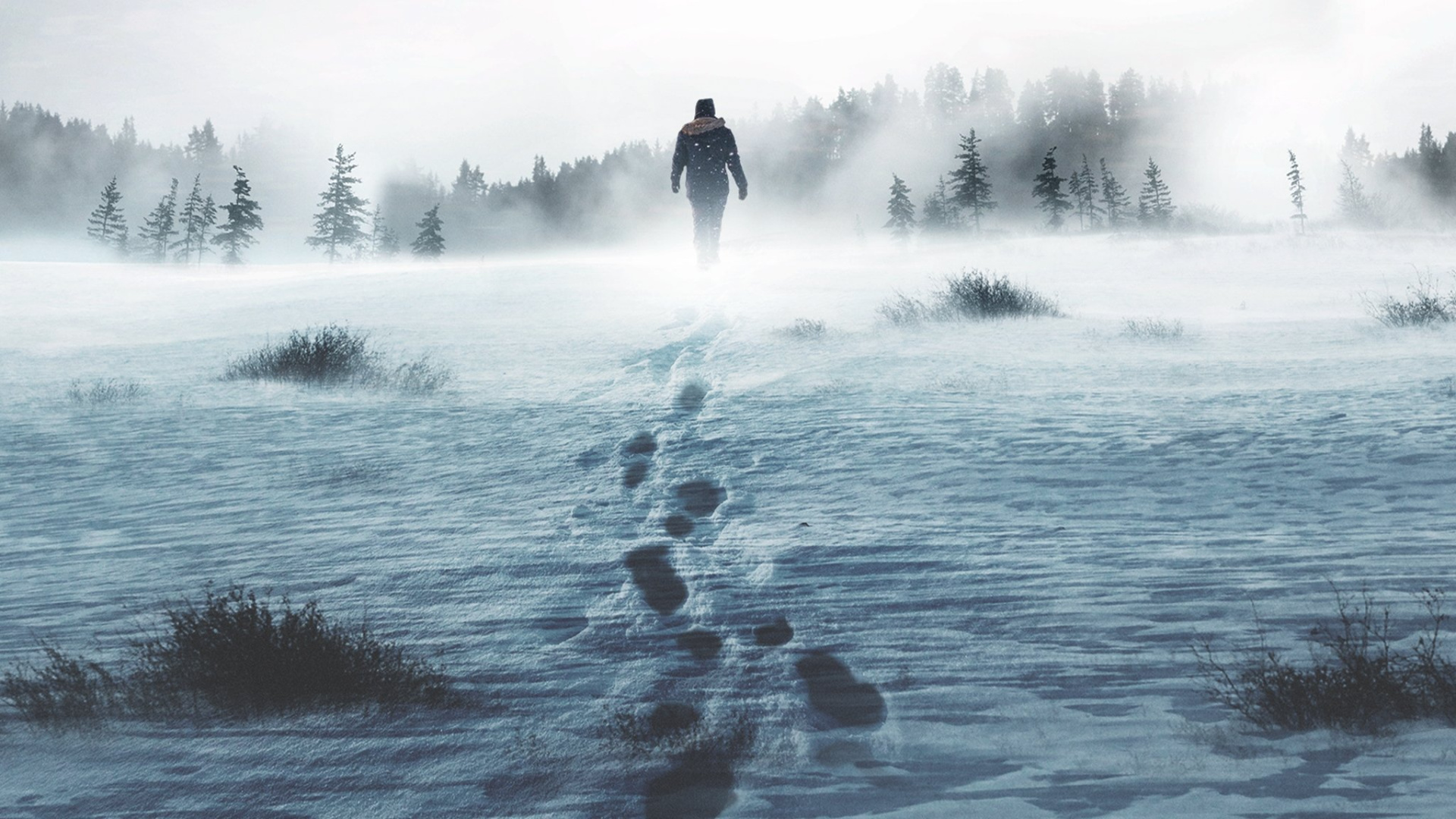 Alone: Season 13 | Where to watch streaming and online in New Zealand ...