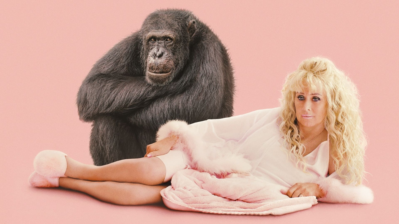 Chimp Crazy: Miniseries | Where to watch streaming and online in the UK ...