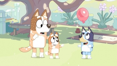 Bluey: Season 1 | Where to watch streaming and online | Flicks.co.nz