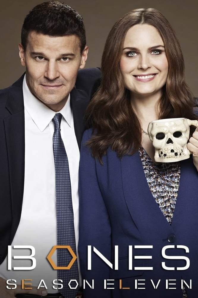 Bones: Season 11 | Where to watch streaming and online in the UK | Flicks