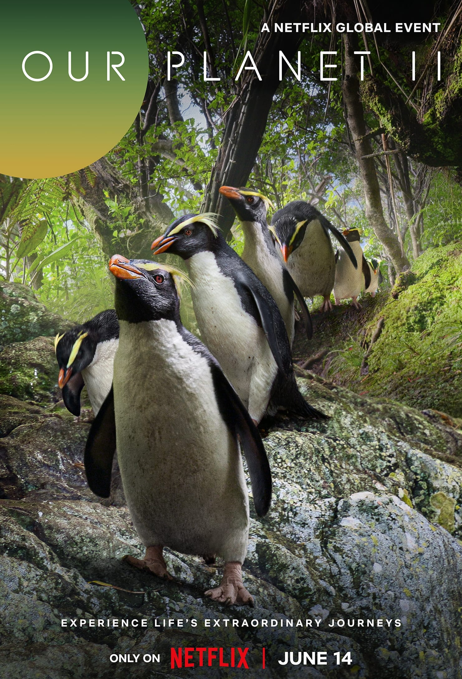Our Planet: Season 2 | Where to watch streaming and online in the UK ...