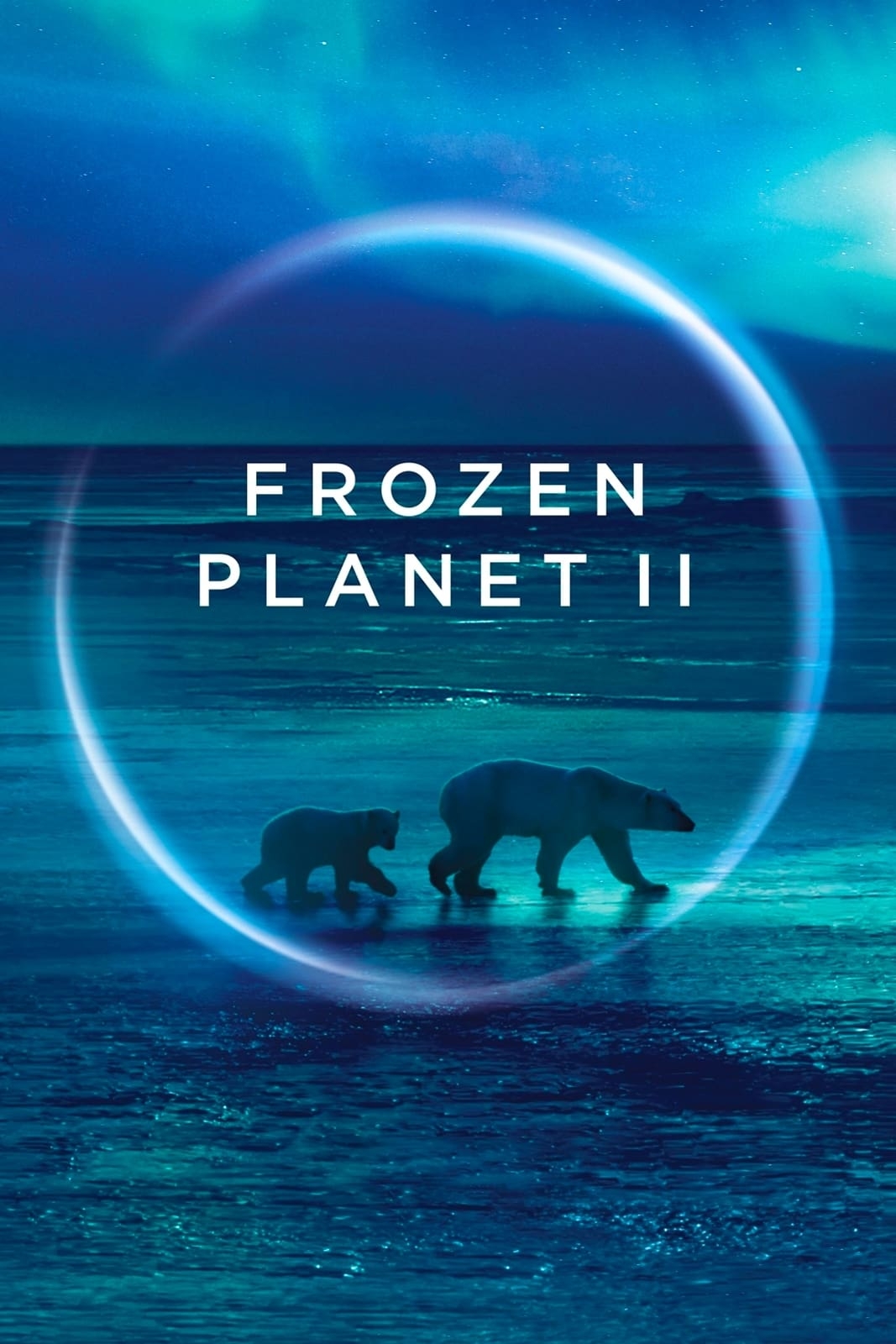 Frozen Planet II | Where to watch streaming and online in New Zealand ...