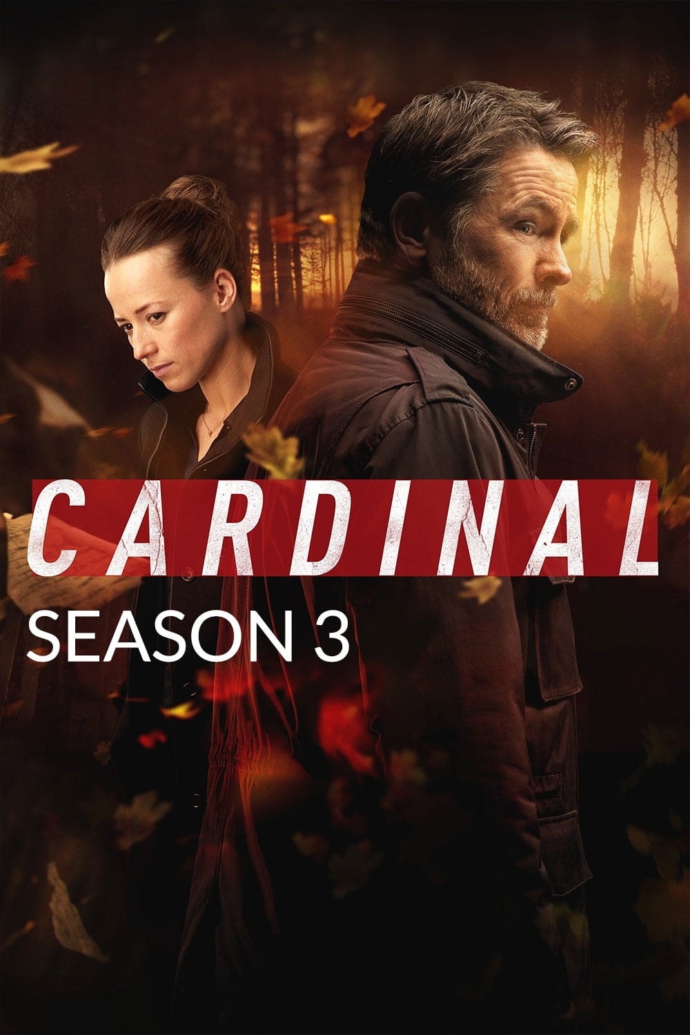 Cardinal: Season 3 | Where to watch streaming and online in New Zealand ...