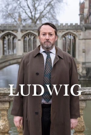Ludwig: Season 2 | Where to watch streaming and online in New Zealand ...