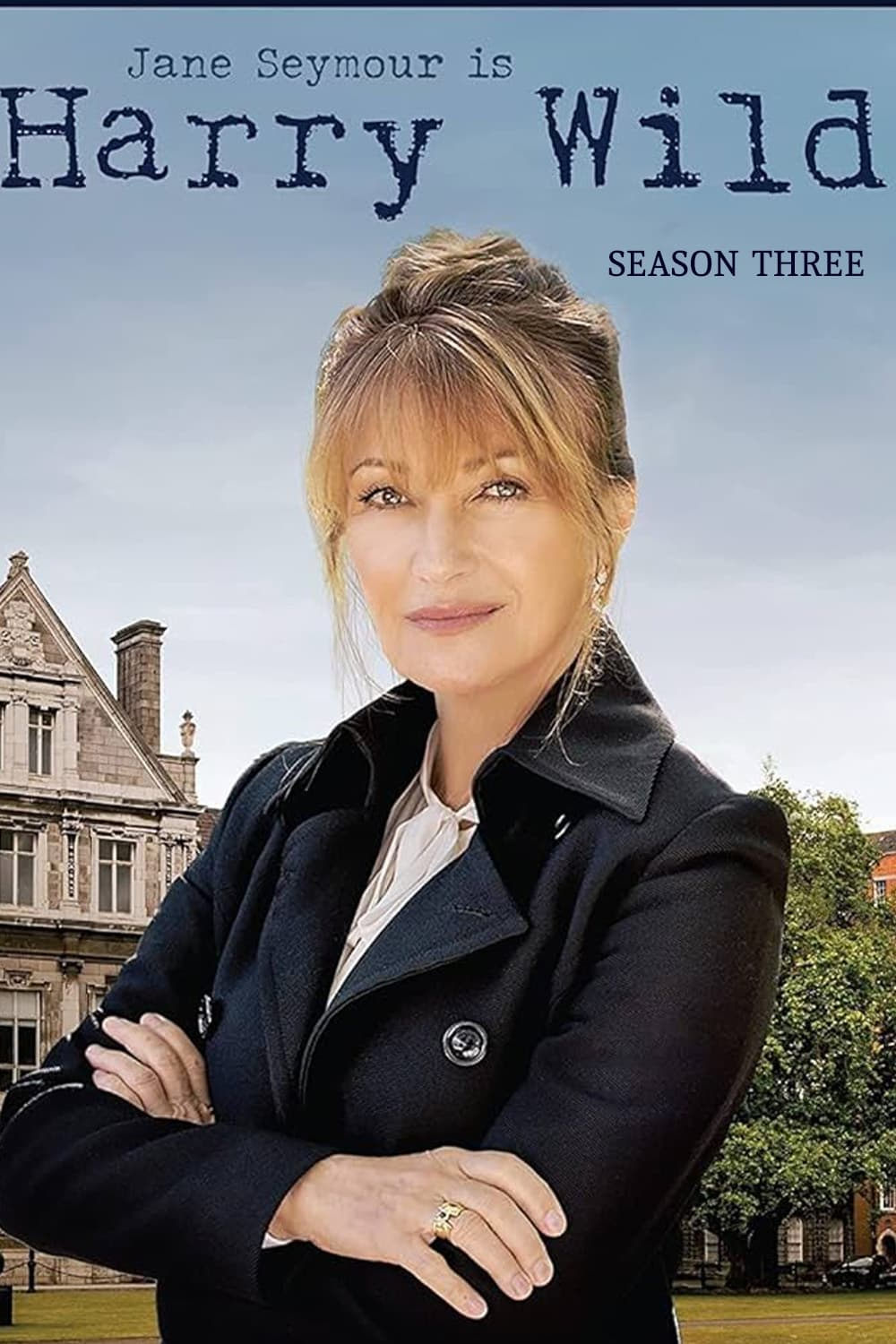 Harry Wild: Season 3 | Where to watch streaming and online in New ...