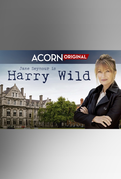 Harry Wild: Season 1 | Where to watch streaming and online in the UK ...