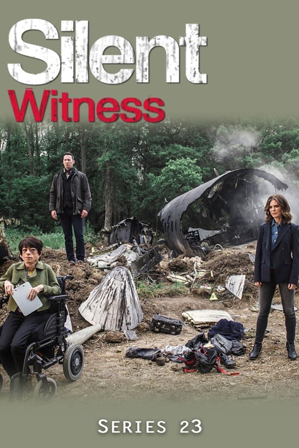 Silent Witness: Series 23 | Where to watch streaming and online in the ...